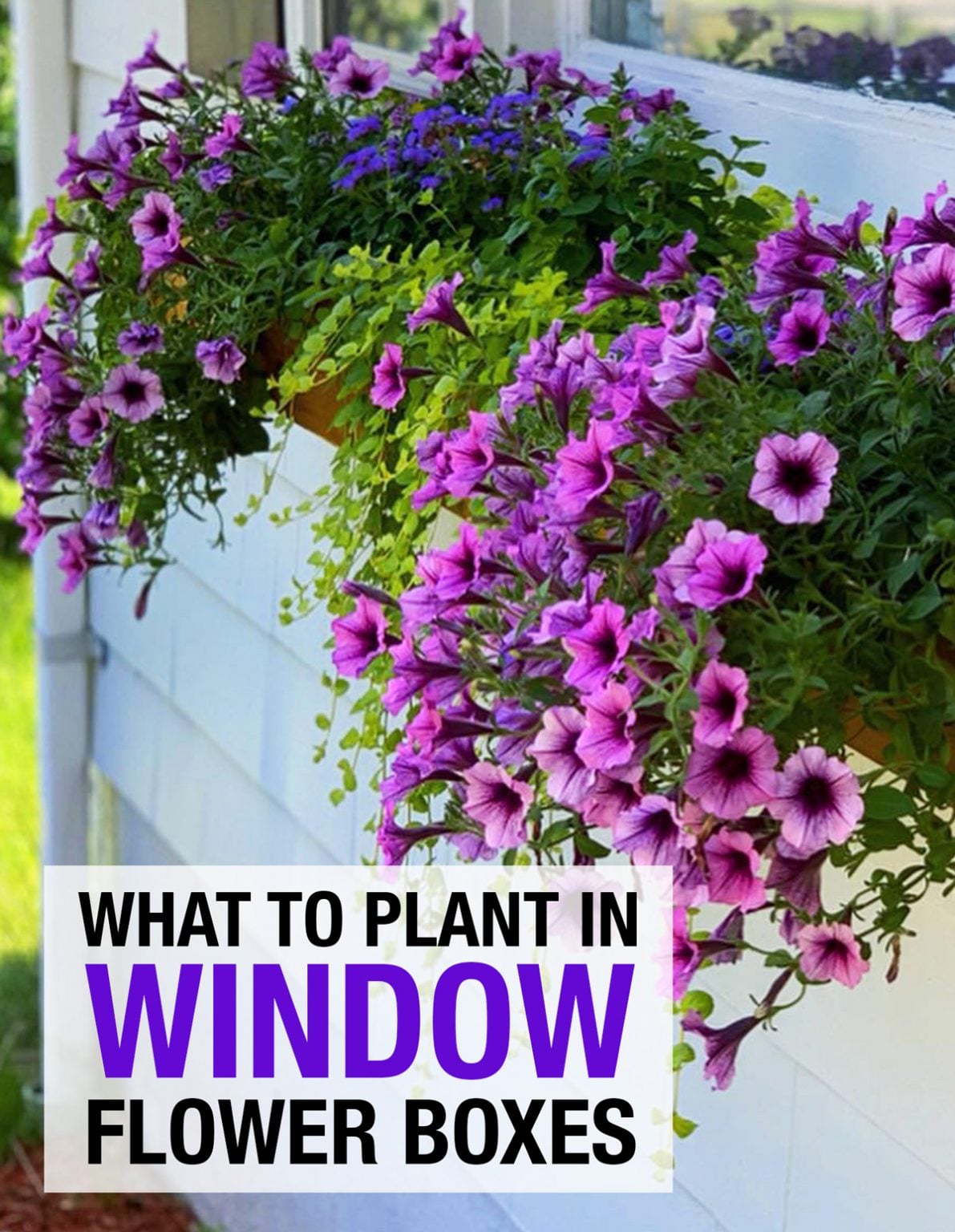 Window Flower Boxes - Weekend Craft