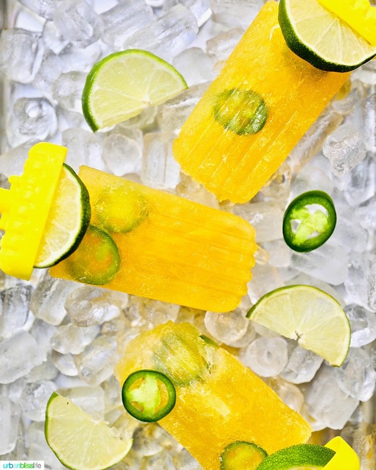 Alcohol Popsicle Recipes - Weekend Craft