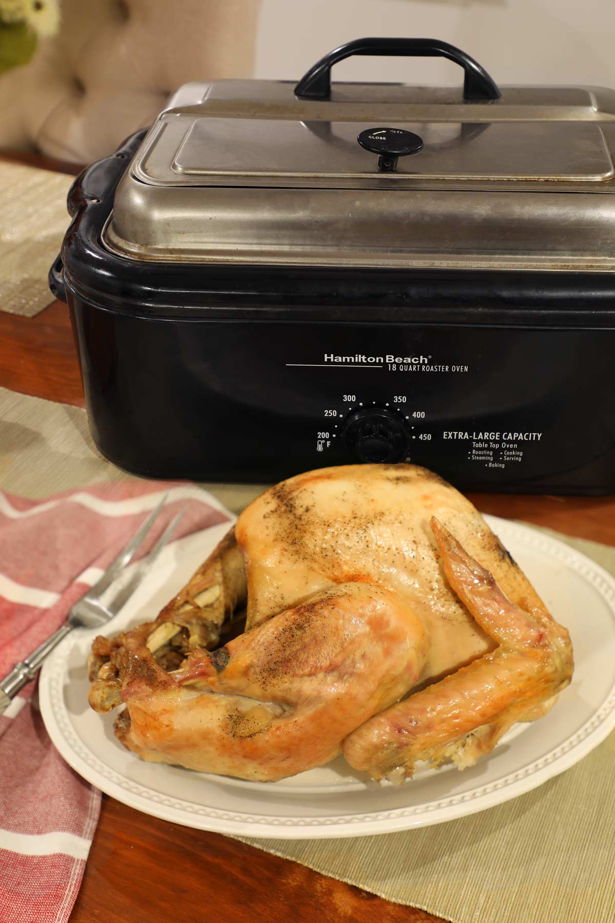 How to Cook a Turkey in a Roaster - Weekend Craft